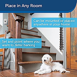PetSafe Single Room Indoor Dog Bark Control - Ultrasonic Device to Deter Barking Dogs - No Collar Needed - Up to 25 ft Range - Automatic Anti-Bark Pet System