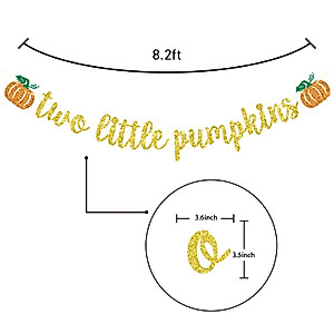 Two Little Pumpkins Banner, Twins Birthday Party Decor, Boys Girls Little Pumpkin Decor, Fall Twins Baby Shower Gender Reveal Party Decorations, Gold Glitter