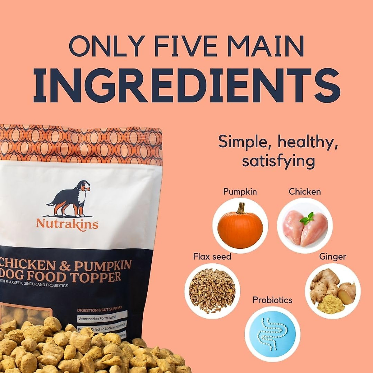 Nutrakins Pumpkin Topper for Dogs - Freeze Dried Dog Treats & Toppers, Raw Flavor Mixers for Meals, Healthy for Picky Eaters, Natural Real Chicken & Wholesome Protein Add Ins, Digestive Health