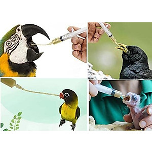 Puppy Kitten Feeding Tube Kit Includes Reusable Feeding Tube 20 Ml Syringe (6 FR),Newborn Birds Feeding Syringe, Small Animals or Sick Pet Feeding Tool for Parrot Baby Bird (2 Packs)