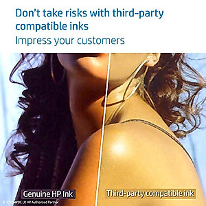 HP 70 Photo Black & Light Gray DesignJet Printhead (C9407A) for DesignJet Z5400, Z5200, Z3200, Z3100 & Z2100 Large Format Printers, Photo Black Printhead