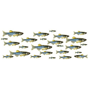 CafePress Zebrafish Mugs Ceramic Coffee Mug, Tea Cup 11 oz