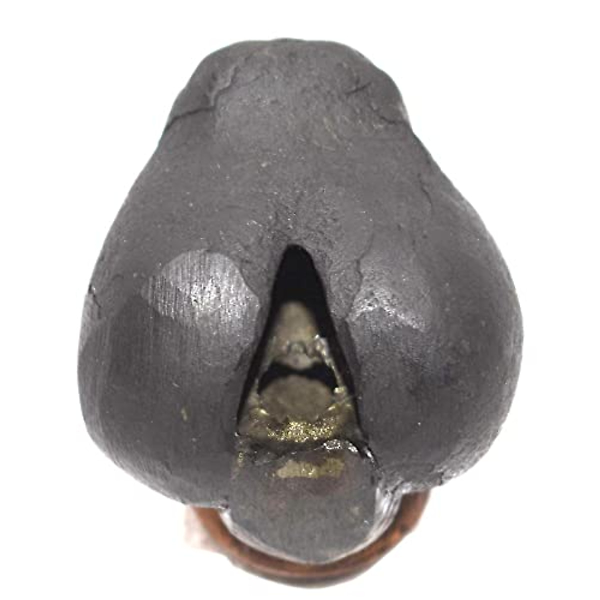 Dhumavati Shaligram/Adwaitya Golden Dhumavati Dasha MahaVidya Shaligram, Fossil, Fossil