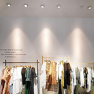 PEHUB Commercial Grille COB Anti-Glare Recessed Flat Spotlight Rotatable Embedded Downlight Clothing Aisle Showcase Lighting Panel Lamp High Ra Cut Size: 75-80mm High Brightness (Color : Neutral Ligh