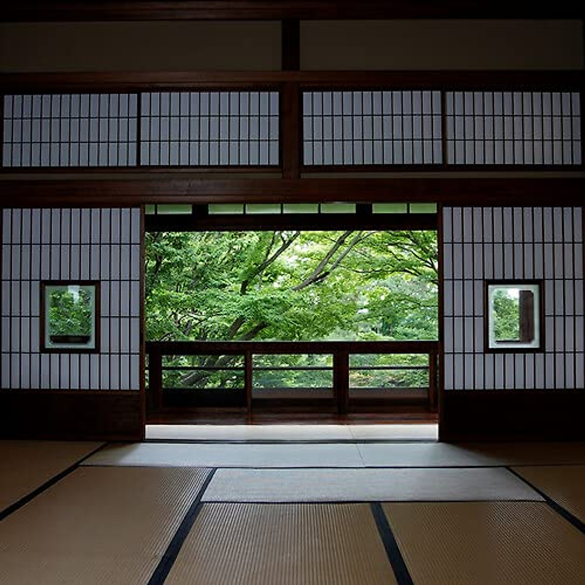 Sony a7S III Mirrorless Full Frame Camera Bundle with Extra Battery, Backpack, 2X 64GB SD Memory Card, More | Sony Alpha 7S III