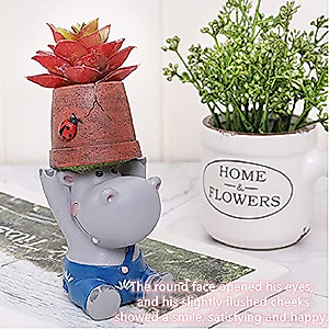 Flower Plant Pots Resin Flower Pot Succulent/Cactus Planters Pot Container Bonsai Planters Modern Decorative for All House Plants (Blue) Q