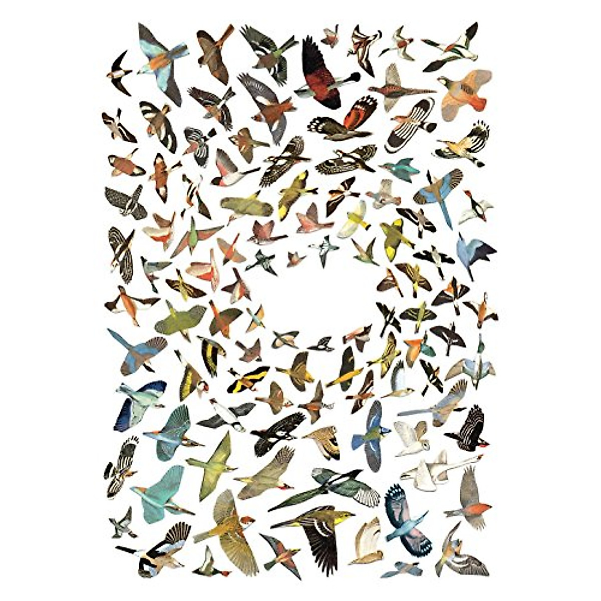 Animal Box: 100 Postcards by 10 Artists (100 postcards of cats, dogs, hens, foxes, lions, tigers and other creatures, 100 designs in a keepsake box)