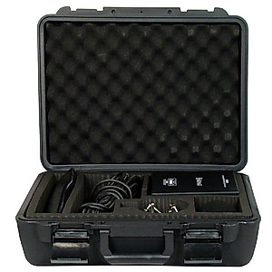 BadAax T-11A Vacuum Tube Condenser Microphone