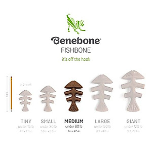 Benebone Fishbone Durable Dog Chew Toy for Aggressive Chewers, Real Fish, Made in USA, Medium