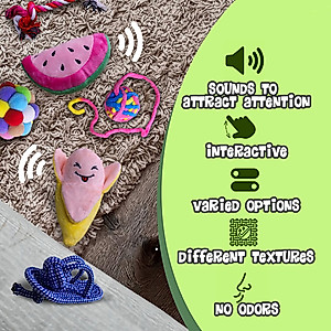 Ferret Toys 9 Pack & Ferret cage Accessories and Travel Pouch - Ferret Accessories, Ferret Tunnel, Ferret Ball - Ferret Bed, Ferret Stuff - Ferret Gifts for Ferret Lovers - Ferret chew Toys & Squeaky