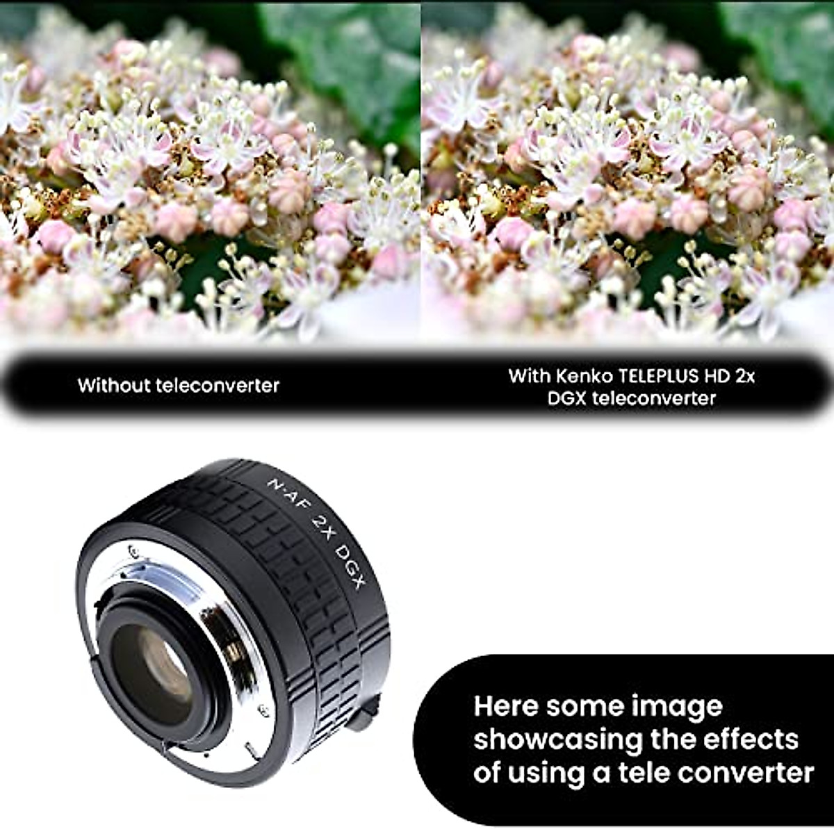 Kenko TELEPLUS HD 2.0X for Nikon F Autofocus Camera Mount, Black (K-TPHD2.0-N)