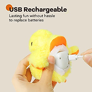 Potaroma Flopping Fish and Flapping Duck Bundle