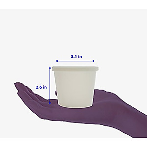 Vito's Famous Deli Container with Lid, 8 Ounce (Pack of 40) | Leak proof | Freezer safe