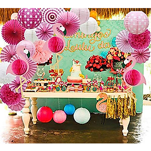 Meiduo Tropical Flamingo Party Honeycomb Decoration, Hawaiian Summer Party Supplies for Adults Kids Birthday Bridal Shower with Flamingo Paper Fans Pom Poms Flowers Paper Lanterns (Pink)