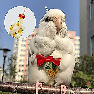 NUGAGORXW Bird Diaper Washable Parrot Nappies Bird Flight Suit Pant Pilot Clothing Bird Flight Suit Dress for Parakeet Parrot Mini Macaw Budgie Canary(Size:M)