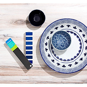 Pantone Fashion, Home + Interiors Color Guide Book | Envisage Color For Interiors, Hard Home, & Cosmetics | 315 New Inspiring On-Trend Colors | FHIP110A