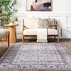nuLOOM Indy Vintage Stain-Resistant Machine Washable Area Rug, 8' x 10', Grey
