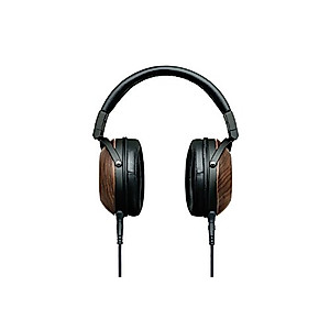 Fostex TH-610 Premium Stereo Headphones with Tesla Magnetic Circuit, Black/Walnut