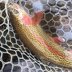 Maxcatch Rubber Net Replacement for Fly Fishing Landing Net (Clear, Circumference: 46inch)