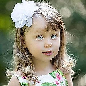 DED 30PCS Girls Headbands Chiffon Flower Bows Soft Strecth Bands Hair Accessories for Newborns Infants Toddlers and Kids