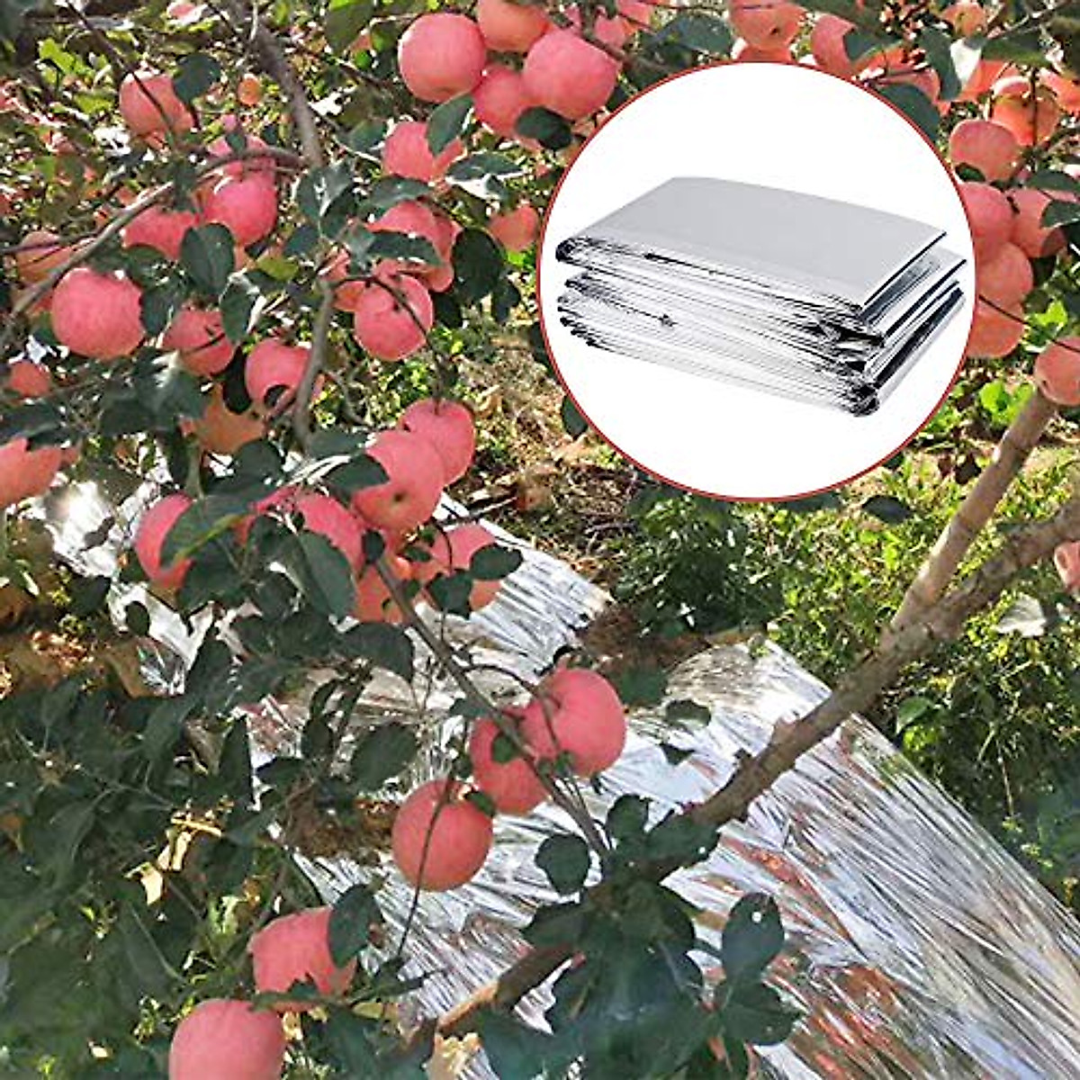 winemana 6 Pack Large High Silver Reflective Mylar Film, 83x 63 in, High Reflectivity, Keep Warm, 100% Environmentally Safe, Perfect for Plant Growth, First Aid, Marathon, Camping, Outdoor Survival