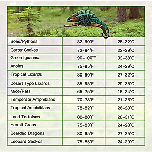 Simple Deluxe 6 X 8 Inch 8W Reptile Heating Pad with 2-Probe Digital Thermometer and Hygrometer Under Tank Heater Terrarium Warmer Heat Mat for Amphibians and Reptiles Pet, Black