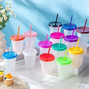 Hsei Clear Plastic Tumbler with Straw and Lid Bulk Water Bottle Iced Coffee Travel Mug Cup with Lid and Straw Reusable Plastic Cups for Kids Christmas Water Smoothie Party Birthday (28 Pack,16 oz)