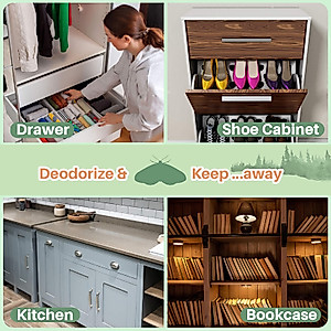 MAQIHAN 24 Cedar Blocks for Clothes Storage - Cedar Chip Closet Drawer Freshener for Dresser Cedar Wood Rings Smell Freshener Bedding Comforter Storage Cedar Scented Drawer Liner Wardrobe Refresher