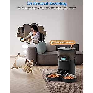 HoneyGuaridan Automatic Cat Feeder for 2 Cats,Wi-Fi Smart Pet Feeder,Timer Cat Food Dispenser for Cats & Dogs, APP Control,Dessicant, Voice Recorder,Stainless Steel Bowl 1-6 Meals a Day (Black)