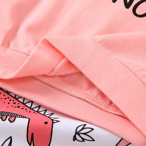 BOUTIKOME Toddler Baby Girls Clothes Sets Little Girl Dinosaur Long Sleeve Shirts Tops + Pants 2pcs Fall Winter Outfits(Pink,3T)