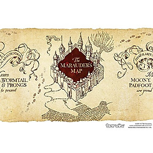 Tervis 1293211 Harry Potter-the Marauder's Map Insulated Tumbler with Clear and Black Hammer Lid, 30 oz Stainless Steel, Silver