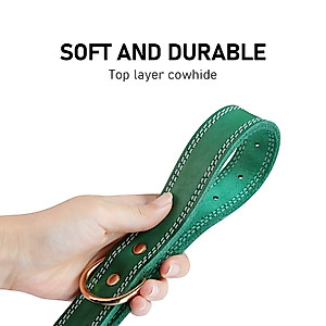 Leather Dog Collar for Medium Dogs with Braided Leather Dog Leash 4 Foot x 5/8"