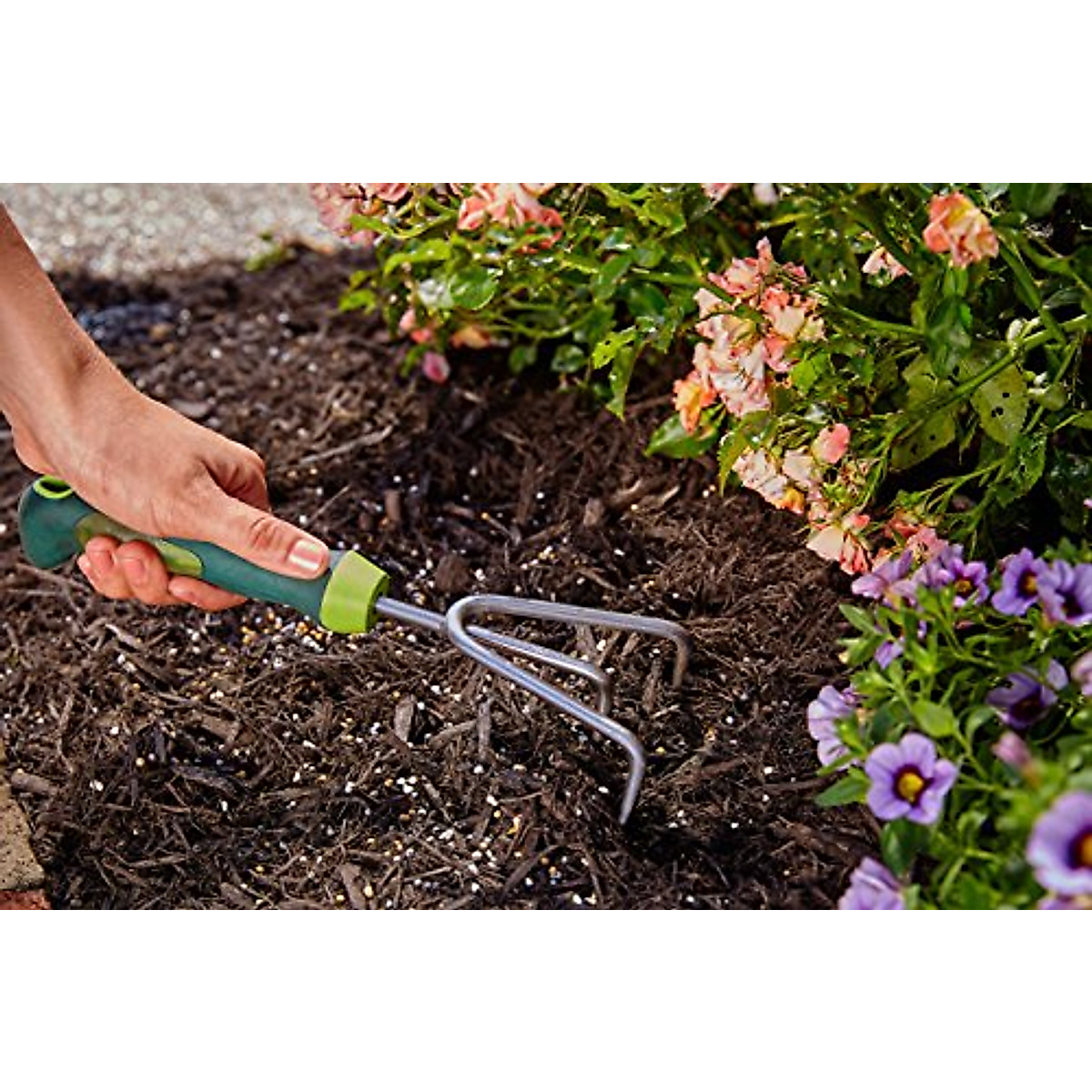 Miracle-Gro Shake 'N Feed All Purpose Plant Food, Plant Fertilizer, 4.5 lbs. (6-Pack)