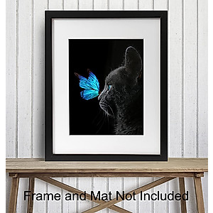Cat Wall Decor - Butterfly Wall Decor - Blue Butterfly - Black Cat - Cat Gifts for Women - Cute Cat Poster - Cat Posters for Girls Bedroom - Cat Lover Gifts - Cat Wall Art - Butterfly Wall Art
