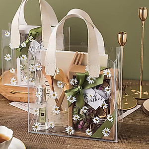 Clear Gift Wrap Bag with Handles (2pcs,9.1 X 9.8X 5.5'') Heavy Duty Plastic Waterproof Gift Packing Bag for Party, Reusable Merchandise Retail Transparent PVC Shopping Tote Bags for Package Candy