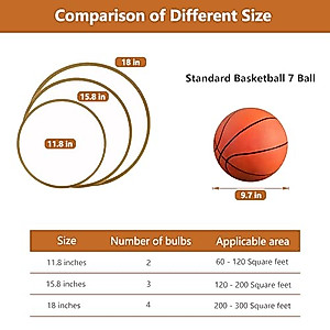 erpymi Modern Gold Flush Mount Ceiling Light, 2-Lights Round Ceiling Light, Minimalistic Ceiling Lamp Acrylic Shade Lighting Fixture for Bedroom Laundry Room Bathroom Hallway(11.8 Inch)