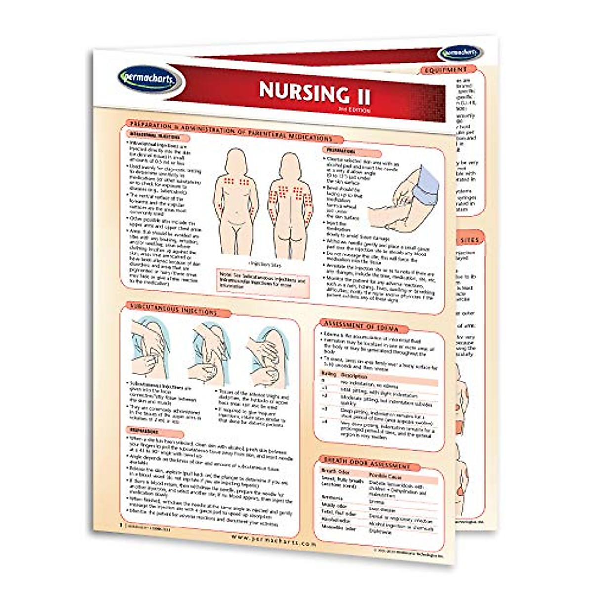 Permacharts Nursing, BSN, Registered Nursing Year 1 Curriculum Essential Quick Reference Guides - 20 Chart Bundle Medical Nursing Charts Bundle