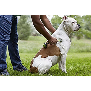 PetWell Dual Point Handheld Massage Roller Pets (Dogs, Cats)