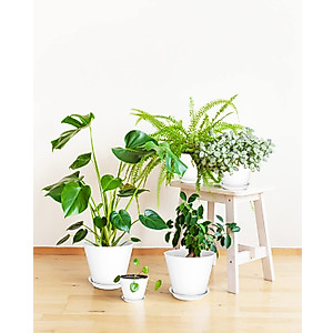 LaDoVita 7 Pack Plastic Plant Pots Indoor, 7/6.5/6/5.5/5/4.5/4 Inch Modern Planters for Plants, Flower Pots with Drainage Holes and Trays, White