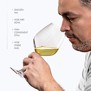 Paksh Novelty Italian White Wine Glasses - - Wine Glass Set for Parties, Weddings, Gifting - Clear Wine Glass, for Red and White Wine - Christmas Gift for Women & Men