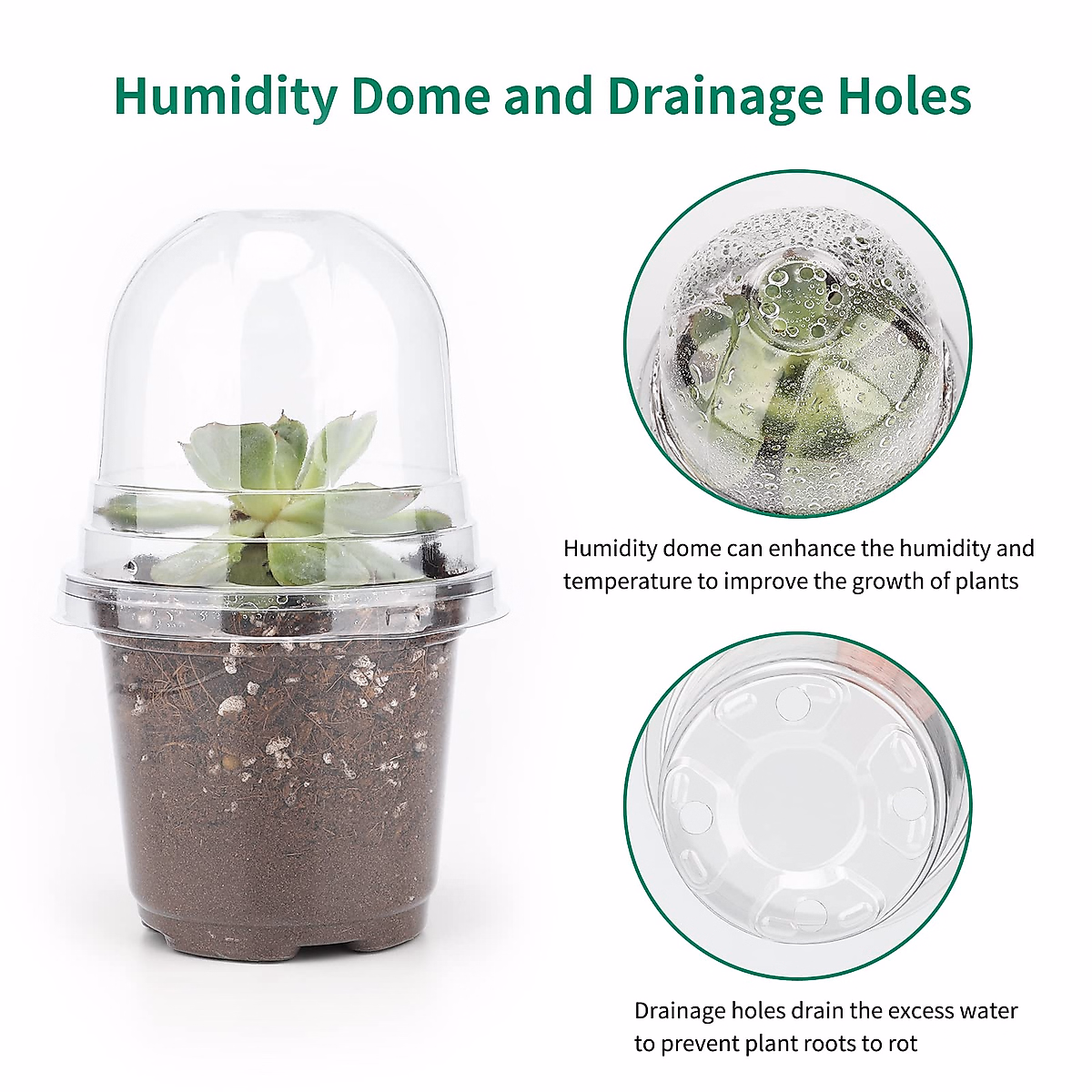 KINGLAKE 32 Pcs 4" Clear Plastic Plants Nursery Pots with Humidity Dome Seedlings Flower Plant Container Seed Starting Pots with 10 Pcs Plant Labels