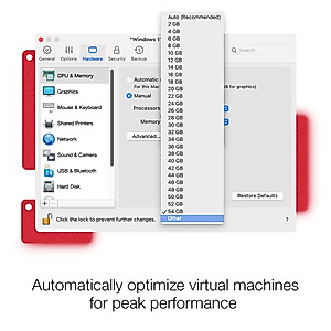 Parallels Desktop 19 for Mac Pro Edition | Run Windows on Mac Virtual Machine Software | Authorized by Microsoft | 1 Year Subscription [Mac Key Card]