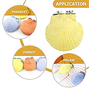 PATKAW Bird Perch Bird Beak Stone Mineral Lava Blocks Trimming Chew Toys Pumice Stones Parrot Perch Stand for Conures Cockatiels Parrots Random Color