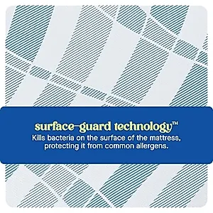 Sealy Dreamlife 6” Foam Mattress-in-a-Box, Full