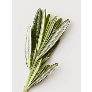 AG Care Renew Clarifying Shampoo, 10 Fl Oz