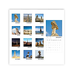 Wall Calendar 2025, 12 x 12 inch, Funny Gift, White Elephant, Gag Gift, Secret Santa… (Nature's Dicks)