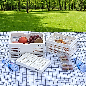 ZHJINGYU crates for storage,plastic baskets for organizing,Plastic Storage Crate,Foldable Milk crate with Handles,collapsible storage crate,car basket,for Kitchen,Bathroom,Medicine