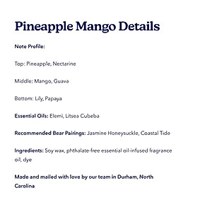 Happy Wax Beach Mix Scented Natural Soy Wax Melts – 8 Oz. of Scented Wax Melts, Made in USA