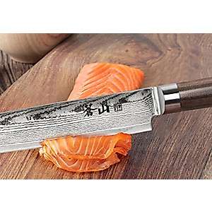 Cangshan J Series 62786 X-7 Steel Sashimi Chef Knife With Walnut Sheath, 10-Inch