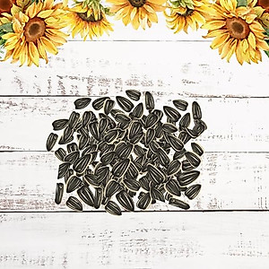 Sunflower Seeds for Planting to Plant Mammoth Sunflower Seeds Packet of About 100 Flower Seeds (Asteraceae Asterales Helianthus giganteus) !